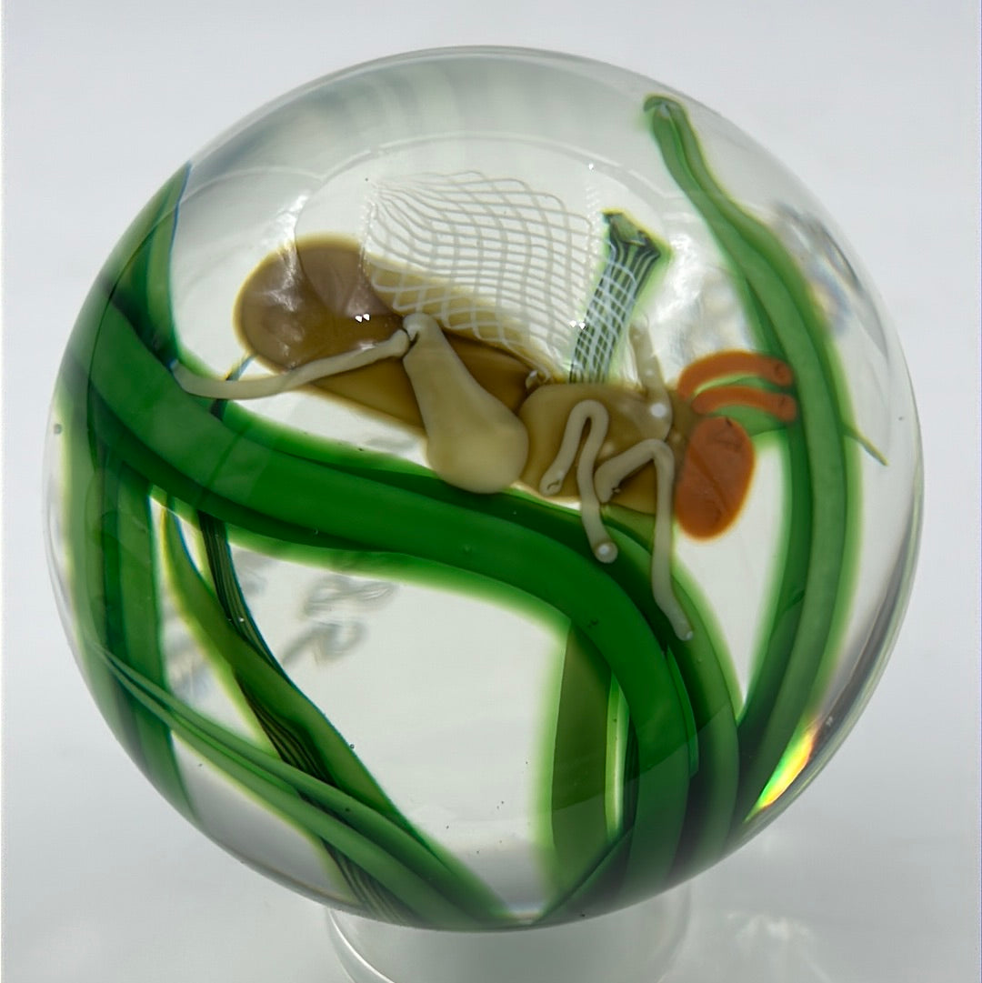 Paperweights – Orient & Flume Art Glass